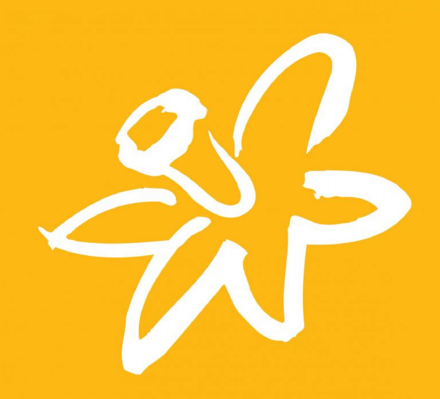 Cancer Council | Envelope Group — Brand Strategy, Marketing and Design