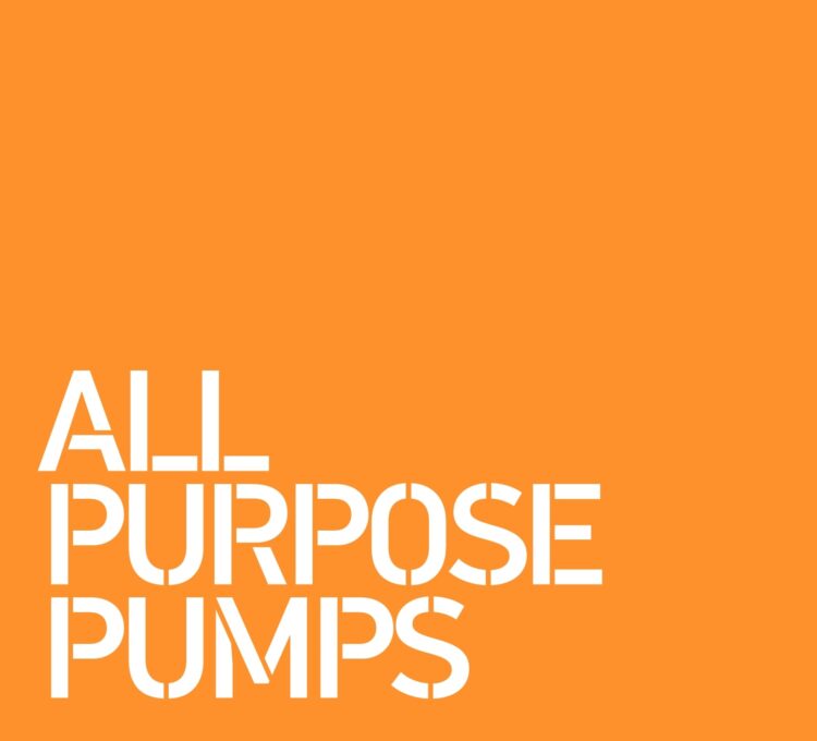 All Purpose Pumps | Envelope Group — Brand Strategy, Marketing and Design